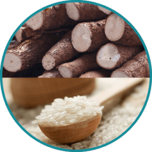 Essential Care Jr. & EquaCare Jr. Information for Health Care Professonials