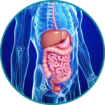 Essential Care Jr. & EquaCare Jr. Information for Health Care Professonials